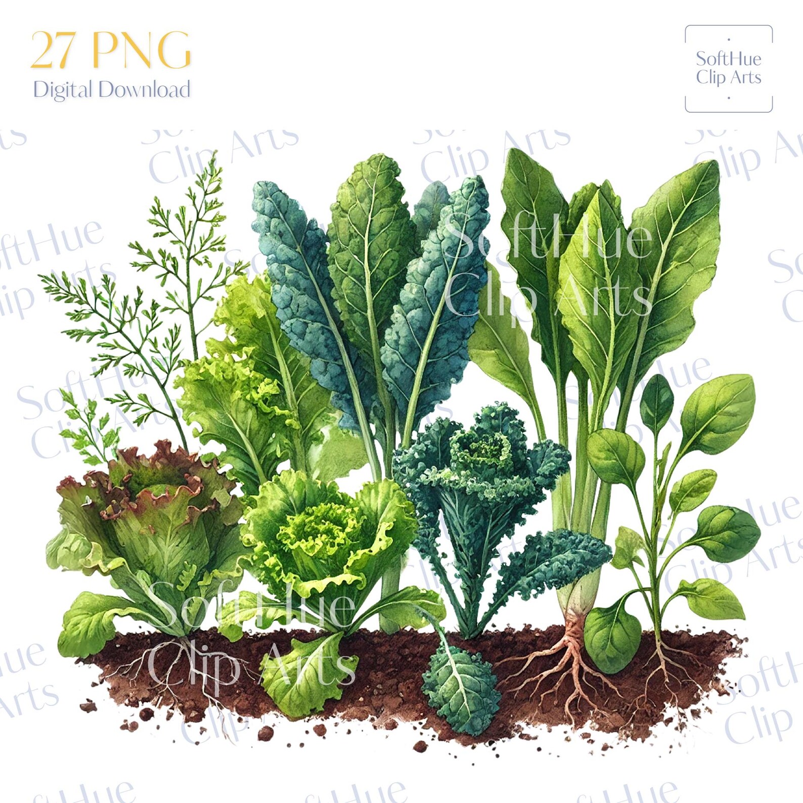 27 Rustic Garden Vegetables Clipart PNG Bundle – Farm Fresh Watercolor ...