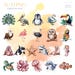 64 Watercolor Zoo Animals Clipart, Forest & Underwater PNG, Mammals ...