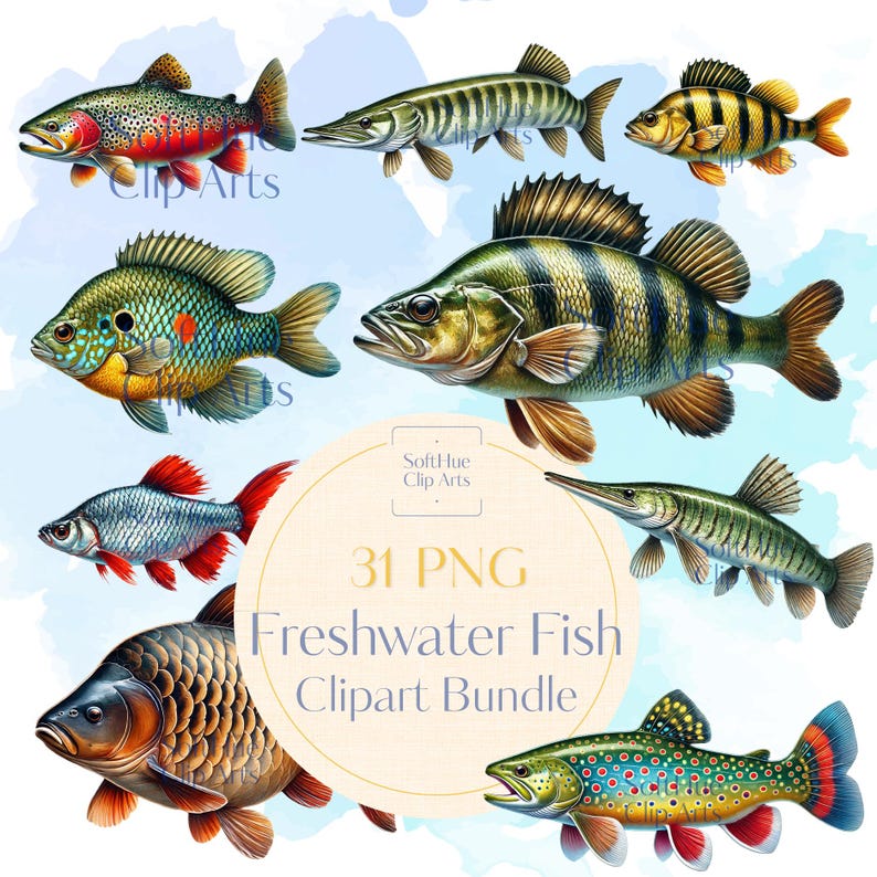 Freshwater Fish Clipart Bundle, 31 Watercolor Fishing Pngs, Bass Trout ...