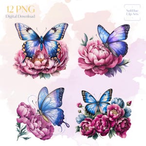 Watercolor Butterfly & Floral Clipart, Spring PNG Set, Hand-painted ...