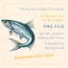 Freshwater Fish Clipart Bundle, 31 Watercolor Fishing Pngs, Bass Trout ...