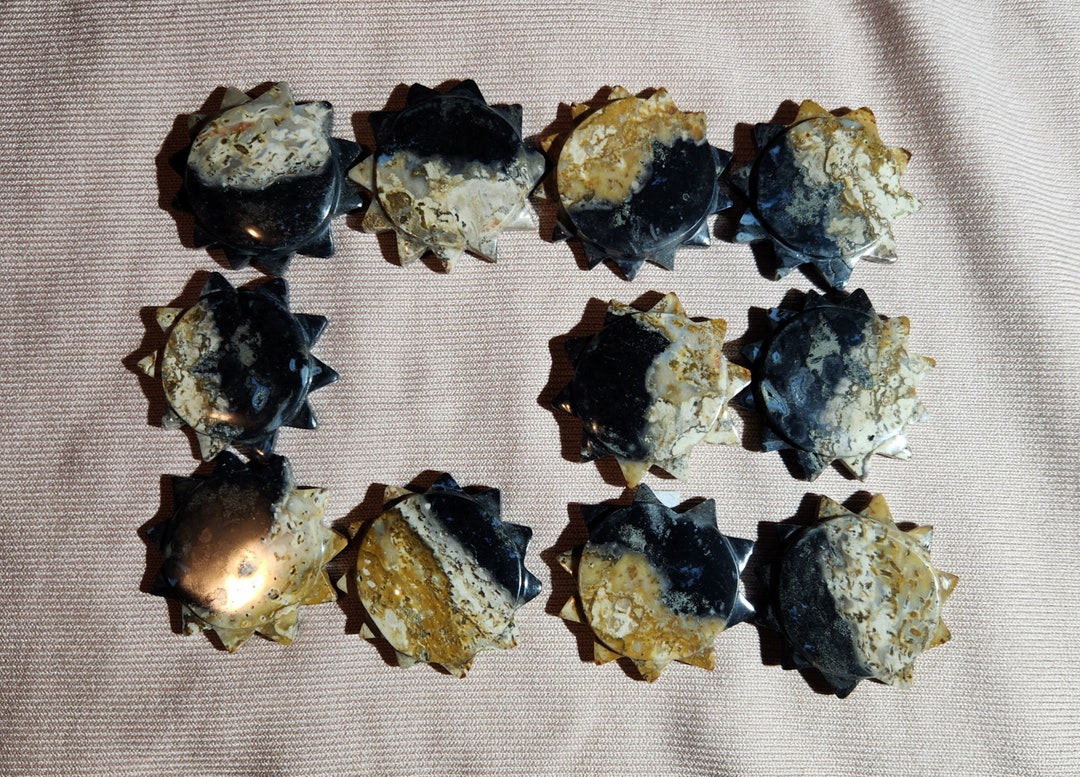 Fossil Palm Root Carved Sun - Etsy