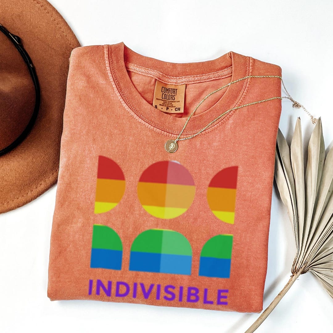 Comfort Colors® Indivisible Protest Shirt, Political Shirt, Trump ...