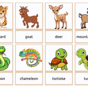 Animal Flashcards Ready to Print Pdf Format - Etsy
