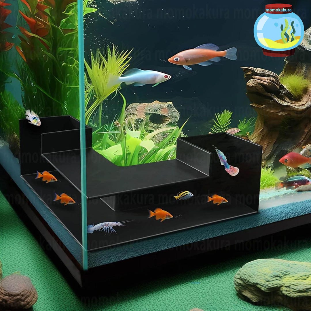 Aquarium/terrarium Corner Underground Natural Cave, Shrimp Cave ...