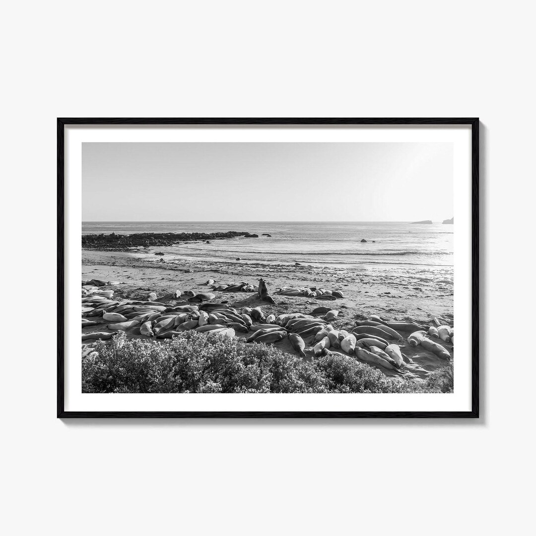 San Simeon Black and White Fine Art Photography Print, California ...