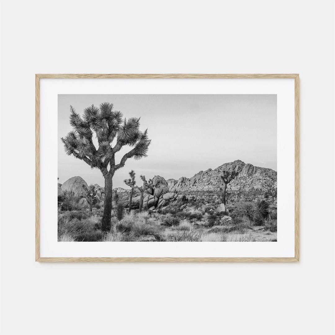 Joshua Tree National Park Photo Poster Print Horizontal No 2, Joshua ...