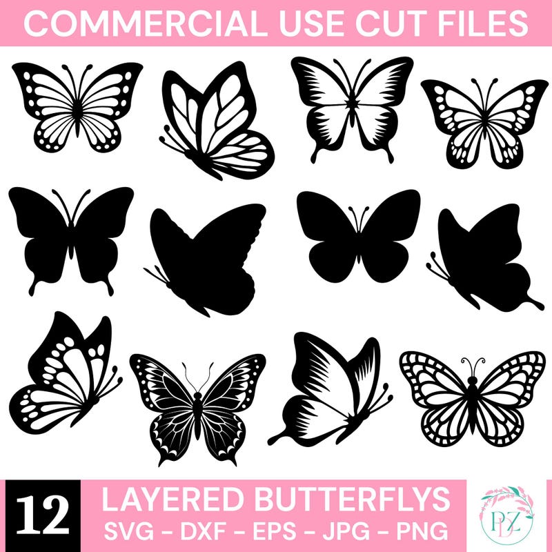 Butterfly and Outline Svg - Etsy