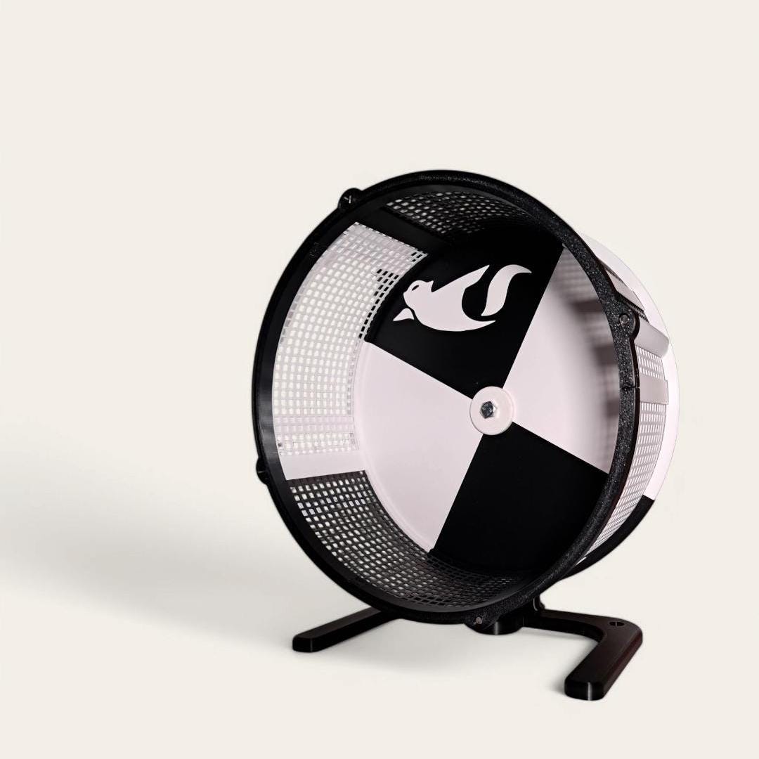 Sugar Glider Wheel - Etsy