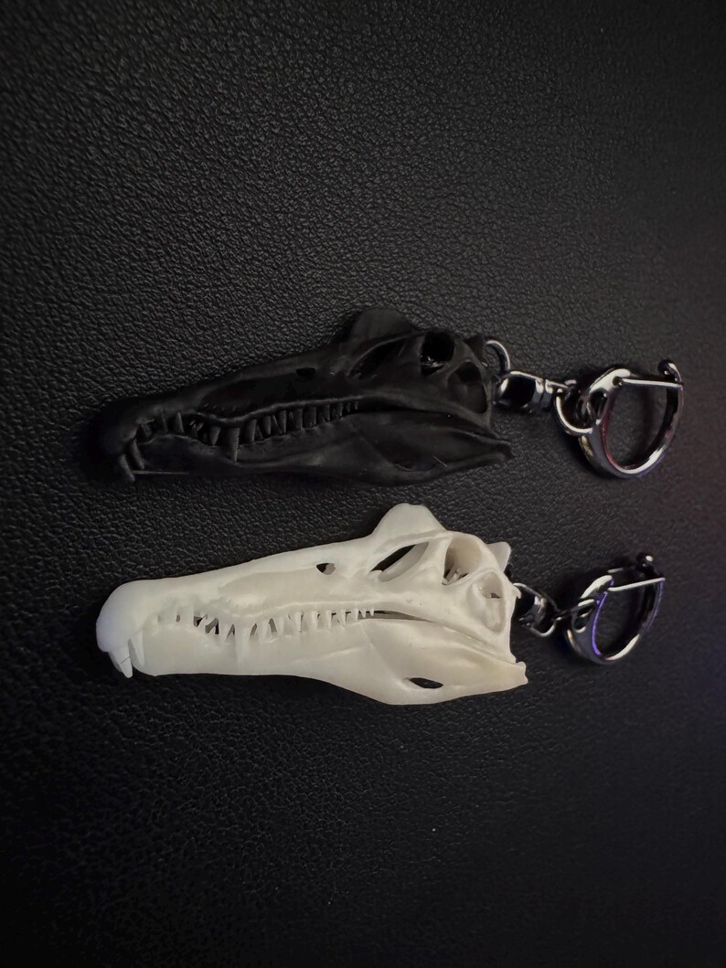 Spinosaurus | Resin Keychain Skull Replica - Etsy