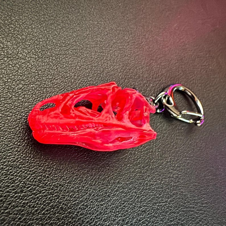 Allosaurus | Resin Skull Replica Keychain - Etsy