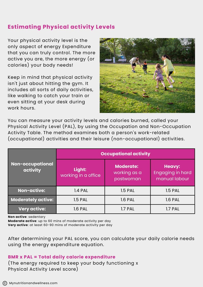 Women That Lift - the Nutritional Guide - Etsy