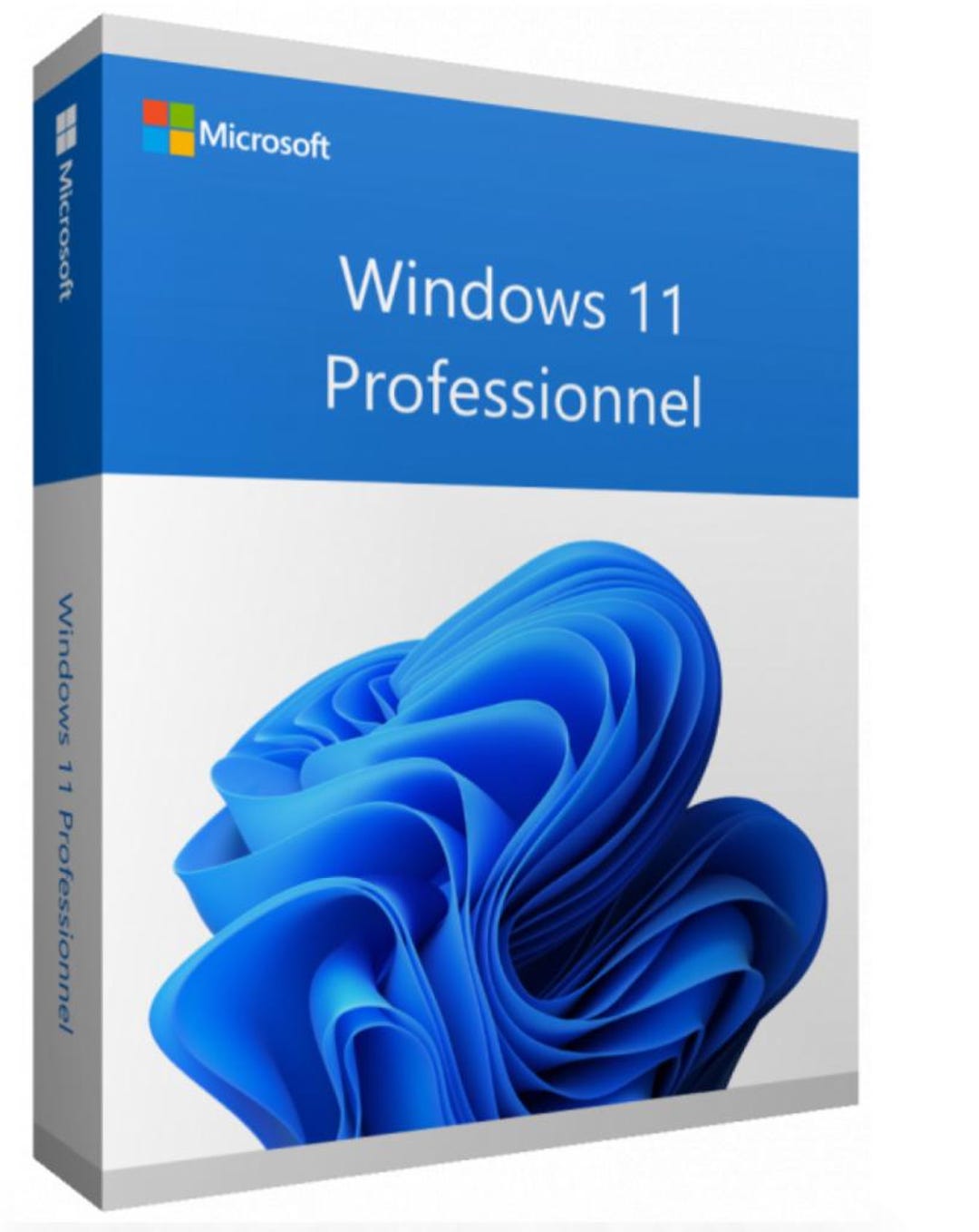 Windows 11 Pro Activation Key Instant Email Delivery - Read Description ...