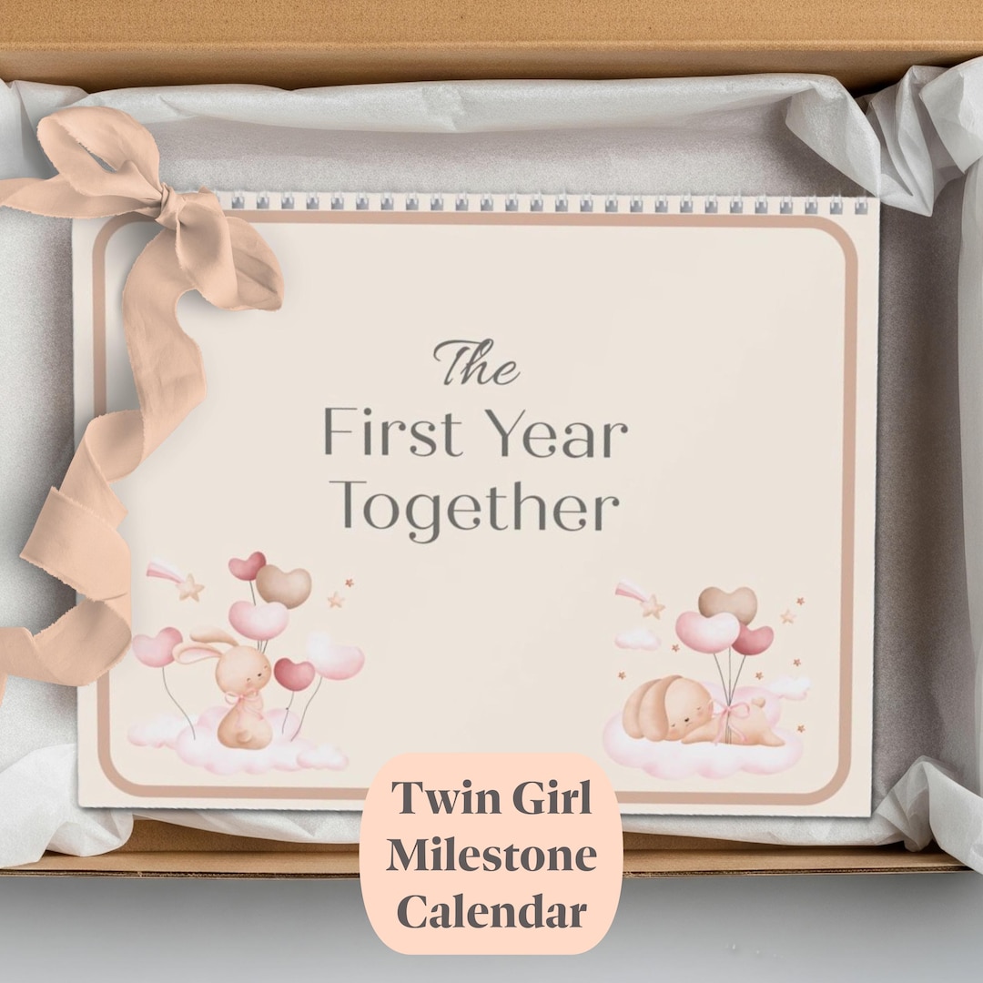 Twin Baby Milestone Calendar, First Year Wall Calendar, Twin Girl ...