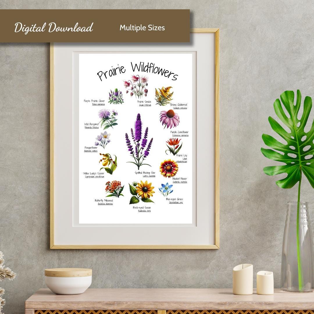 Prairie Wildflowers ID Chart; Poster; BONUS Educational Guide; Nature ...