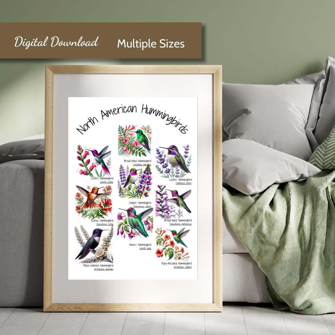 Hummingbirds of North America – Digital Download Poster | Educational ...