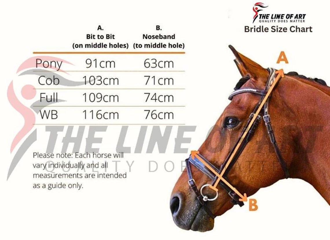 Horse Bridle in Vintage Style With Fancy Horse Bit , Fancy Horse Bridle ...