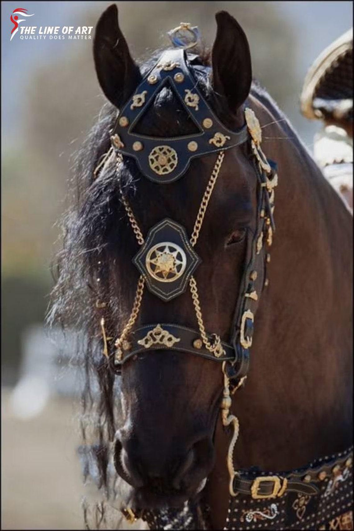 Horse Bridle in Vintage Style With Fancy Horse Bit , Fancy Horse Bridle ...