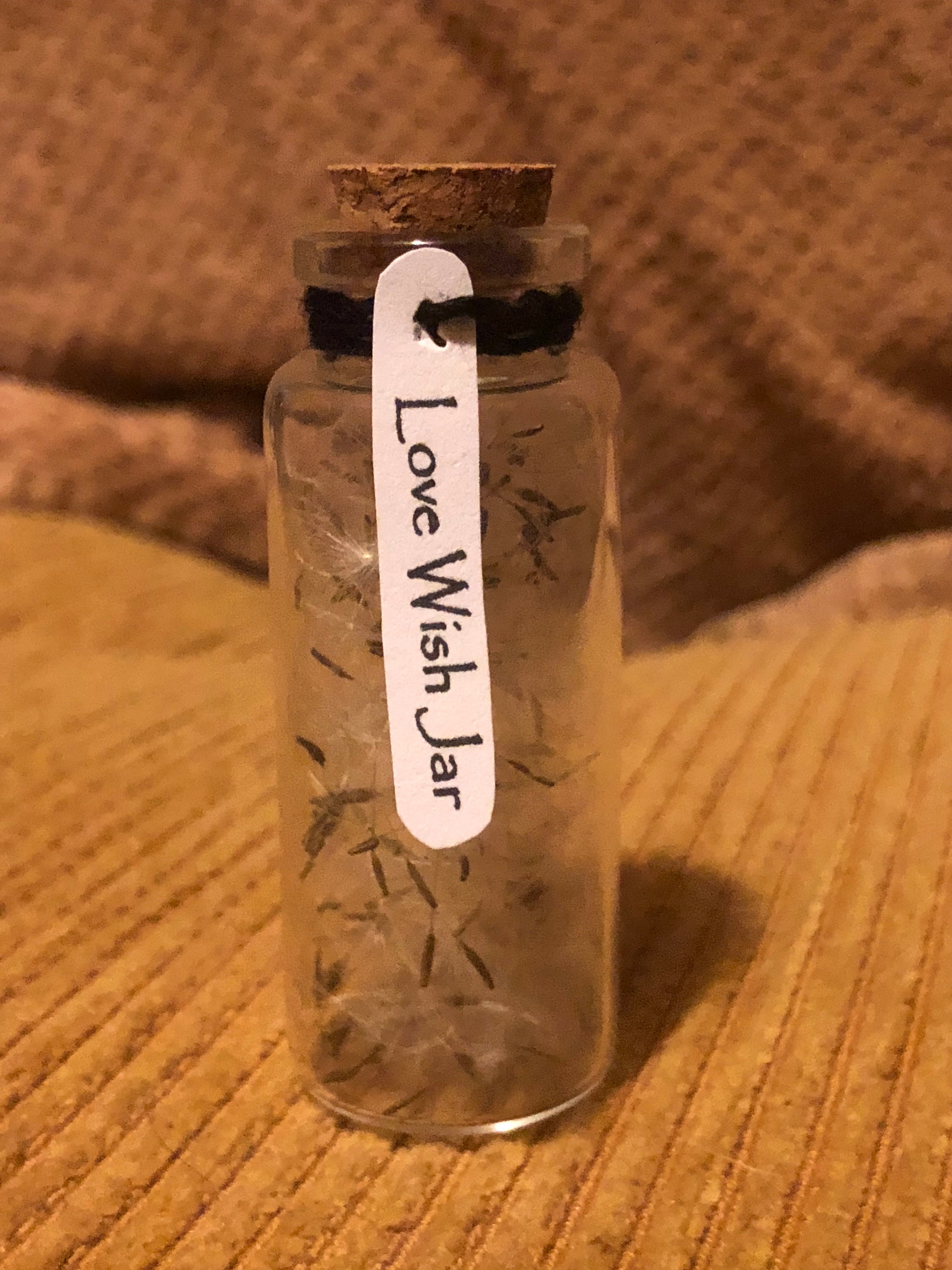 Wish Jars - Real Dandelion Seeds - Wish Bottle - Etsy