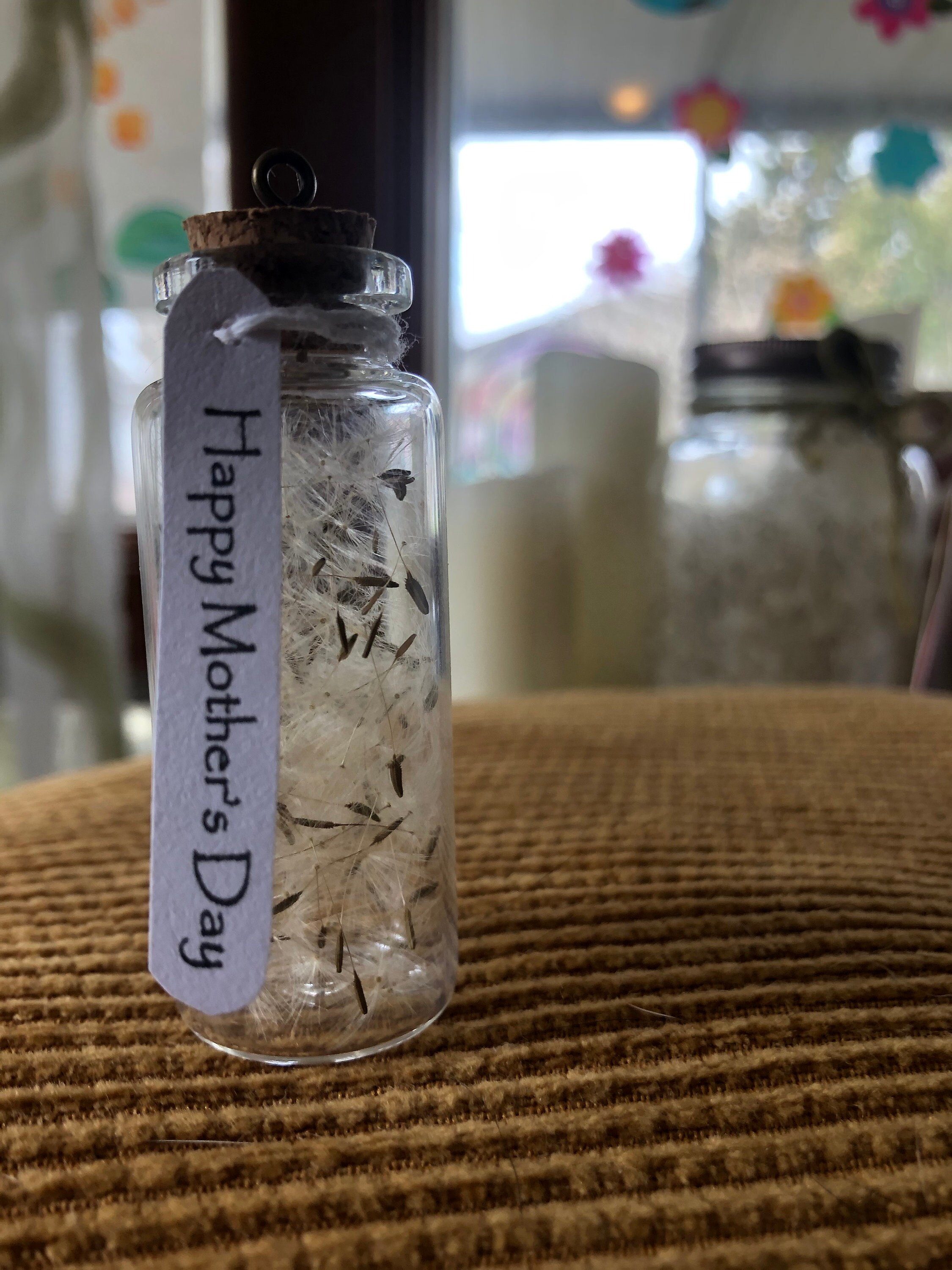 Wish Jars - Real Dandelion Seeds - Wish Bottle - Etsy