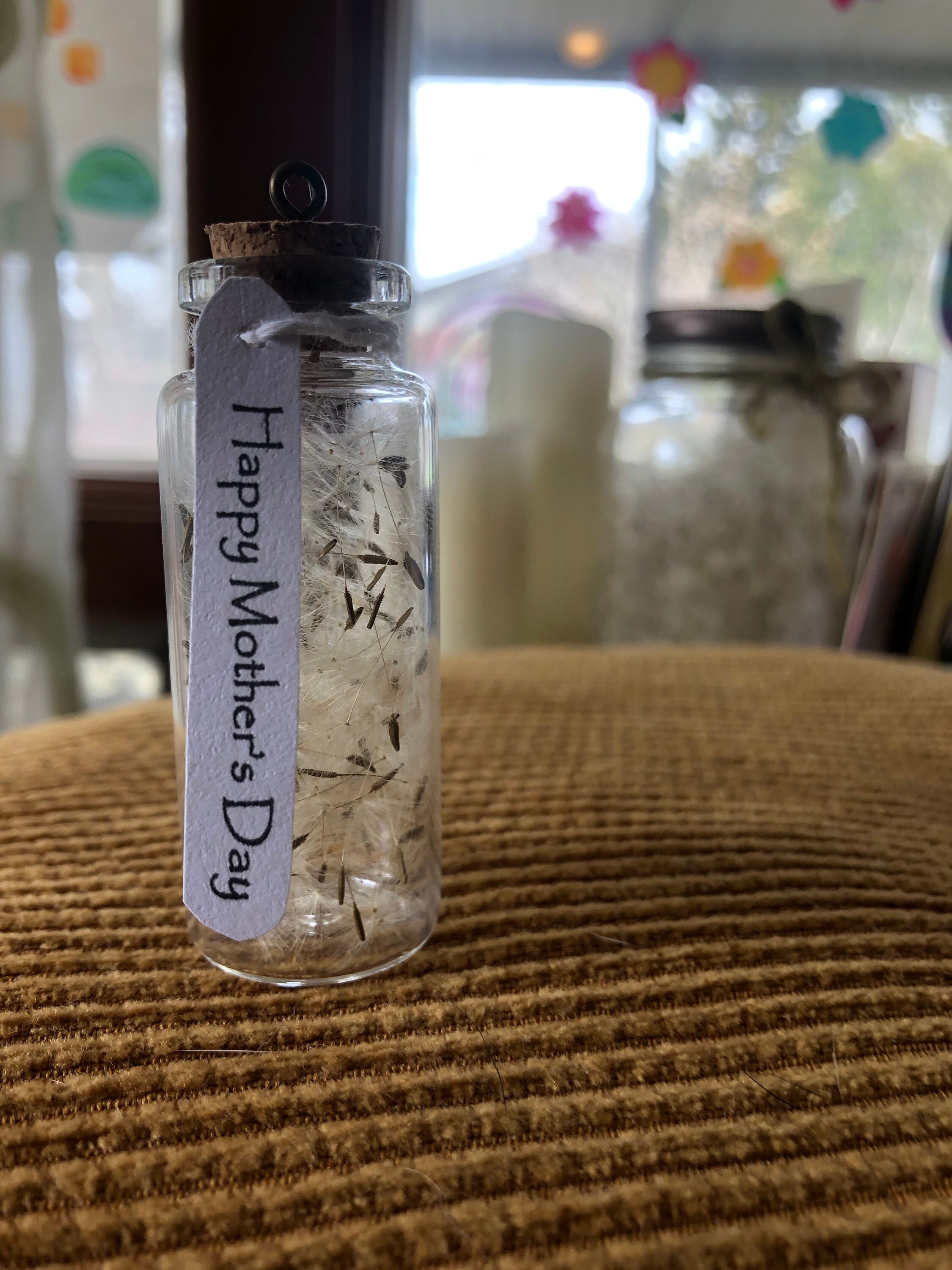 Wish Jars - Real Dandelion Seeds - Wish Bottle - Etsy