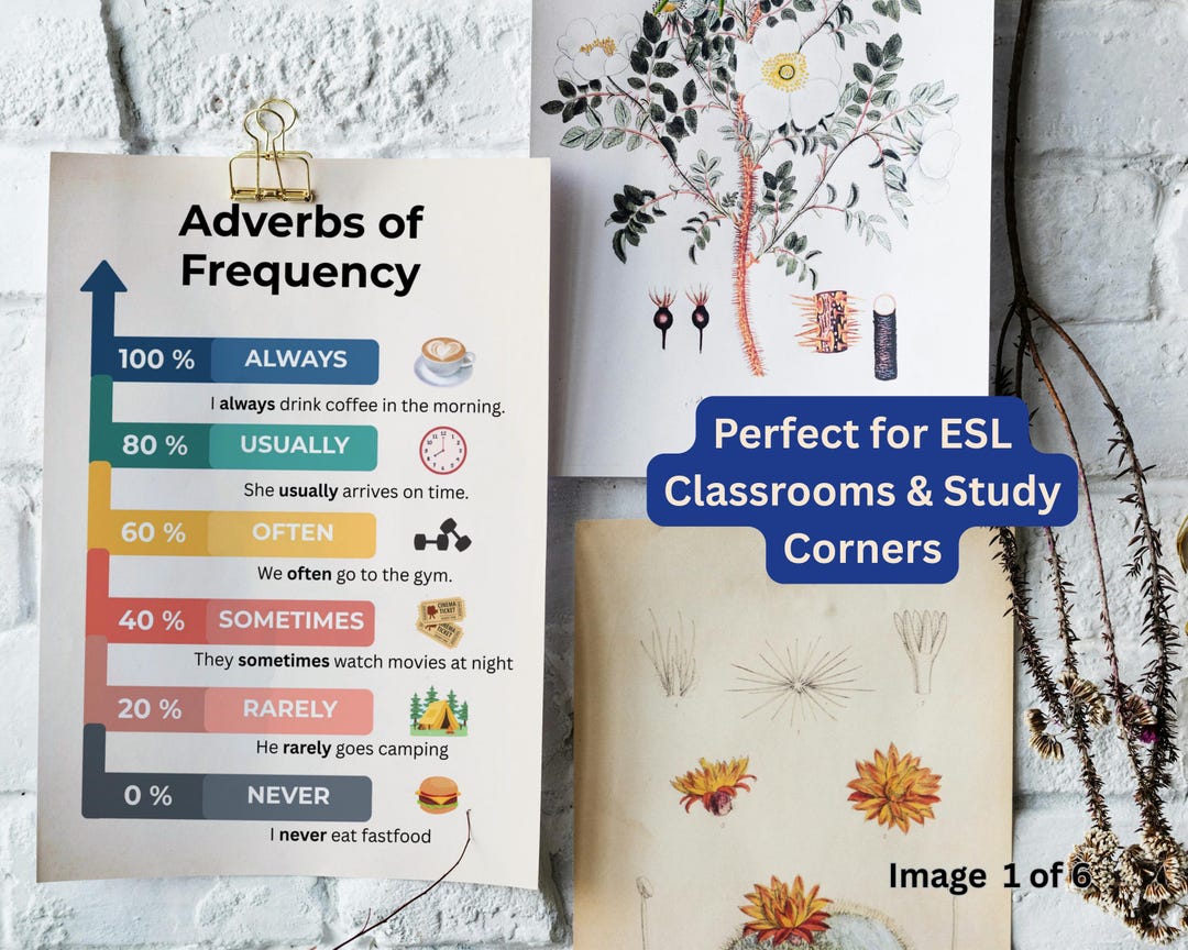 Adverbs of Frequency Poster | ESL Classroom Grammar Chart | Printable ...