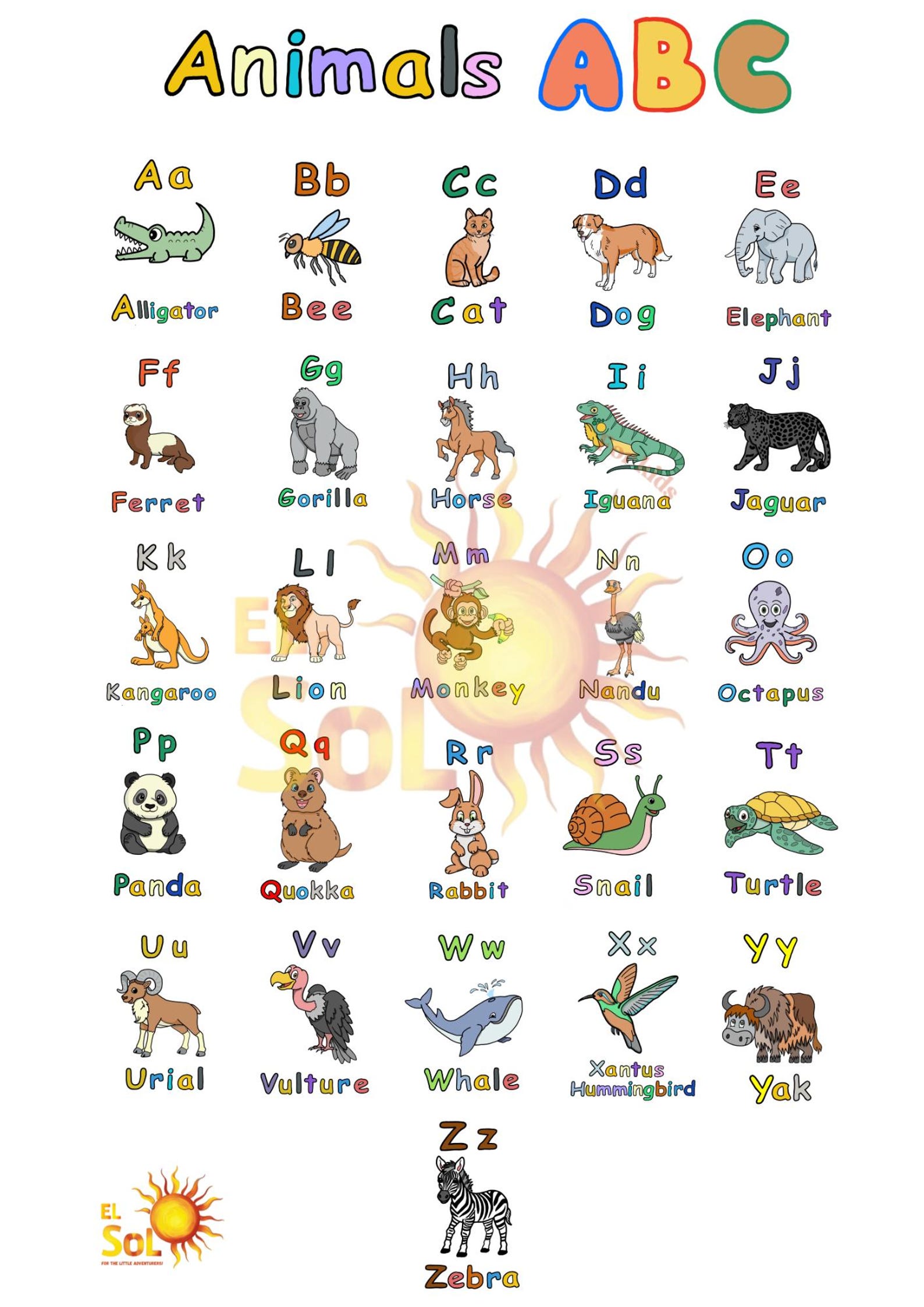 ABC From A to Z Poster With 26 Cute Colored Animals & Names ...