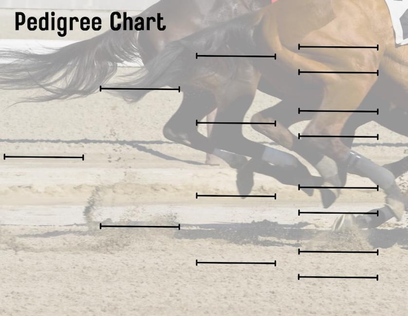Thoroughbred Horse Lineage Chart, Digital Download, Equine Enthusiast ...
