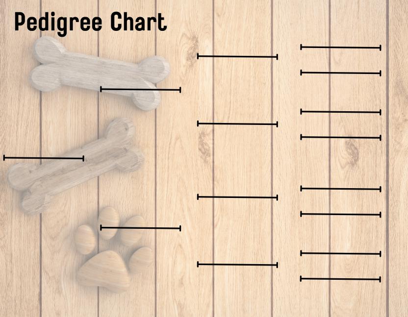 Dog Pedigree Chart, Lineage Tracker (digital Download) - Etsy