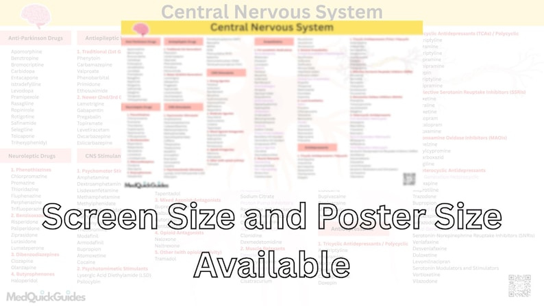 CNS Pharmacology Poster | Drug Classification Chart | Study Guide for ...