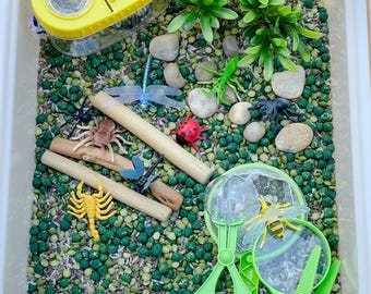 Bug Hunt Sensory Bin Featuring Insect Puzzle Cards | Insect Sensory Bin ...