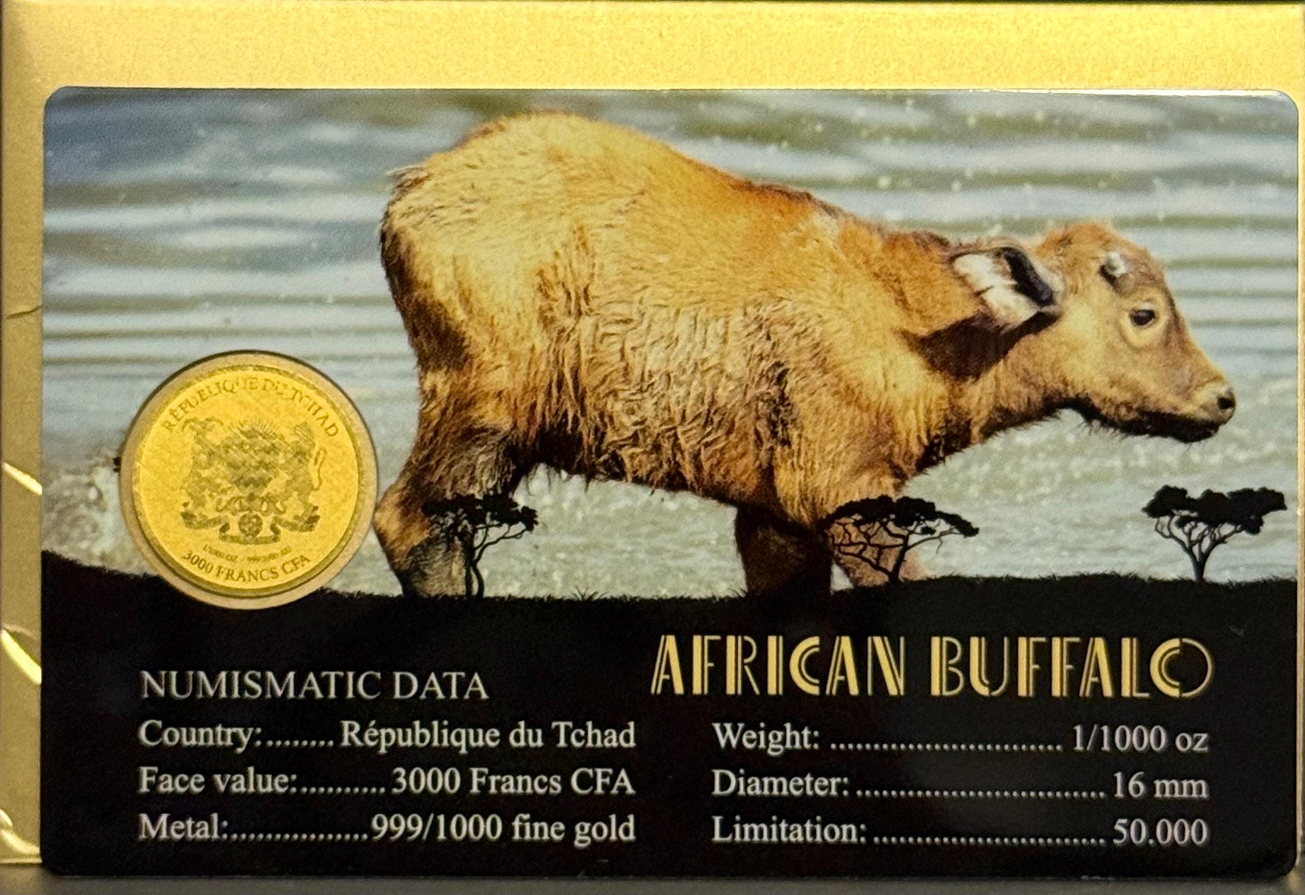 African Buffalo PURE GOLD COIN in Assay Card • 1/1000oz Fine Gold (.999 ...