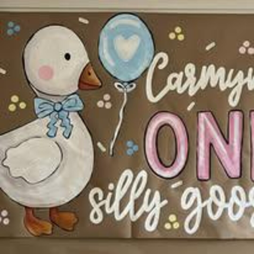 Personalized Silly Goose Painted Party Banner - Etsy