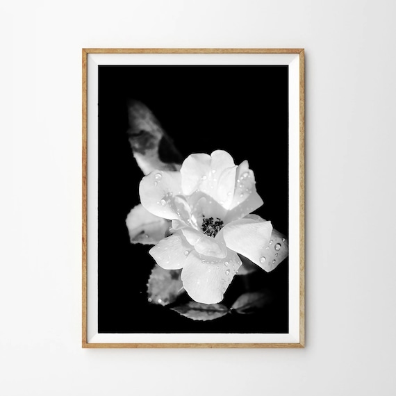 Printable Black and White Wall Art Prints / Living Room / | Etsy