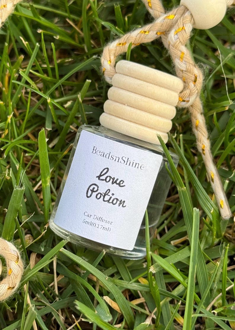 Scented Car Diffuser, Hanging Air Freshener, Phthalate Free Oils - Etsy