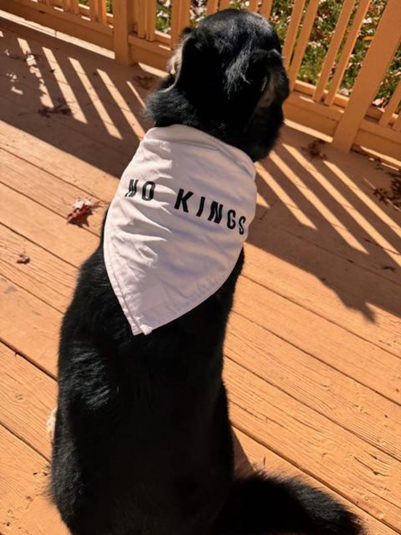 NO KINGS Protest Bandana | Eco-friendly Anti Fascism Scarf | Liberal ...
