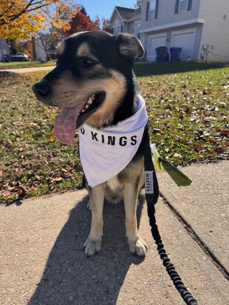 NO KINGS Protest Bandana | Eco-friendly Anti Fascism Scarf | Liberal ...