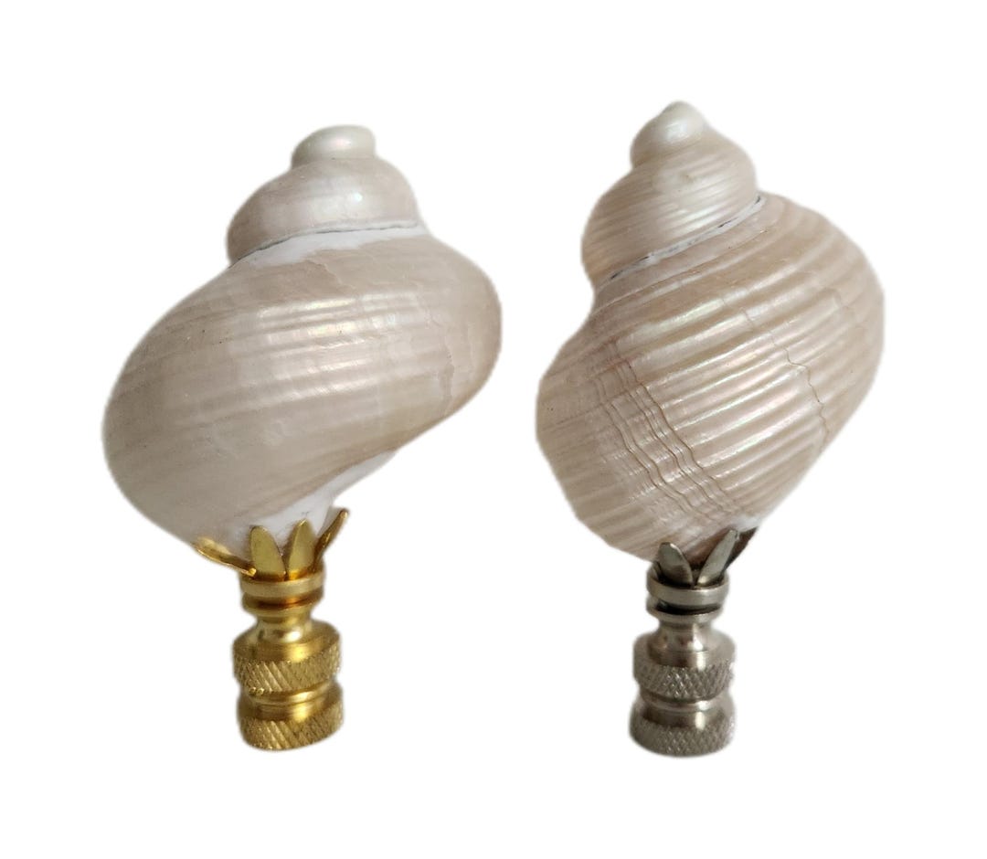 Turbo Pearl Setosus Sea Shell Lamp Finial, Beach Coastal Home Décor ...
