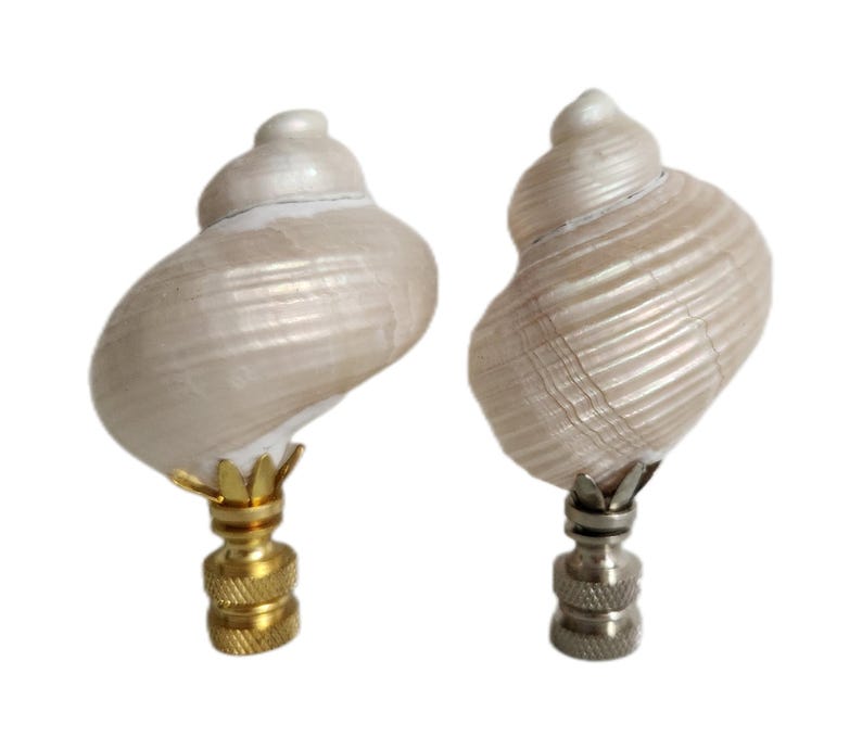 Turbo Pearl Setosus Sea Shell Lamp Finial, Beach Coastal Home Décor ...