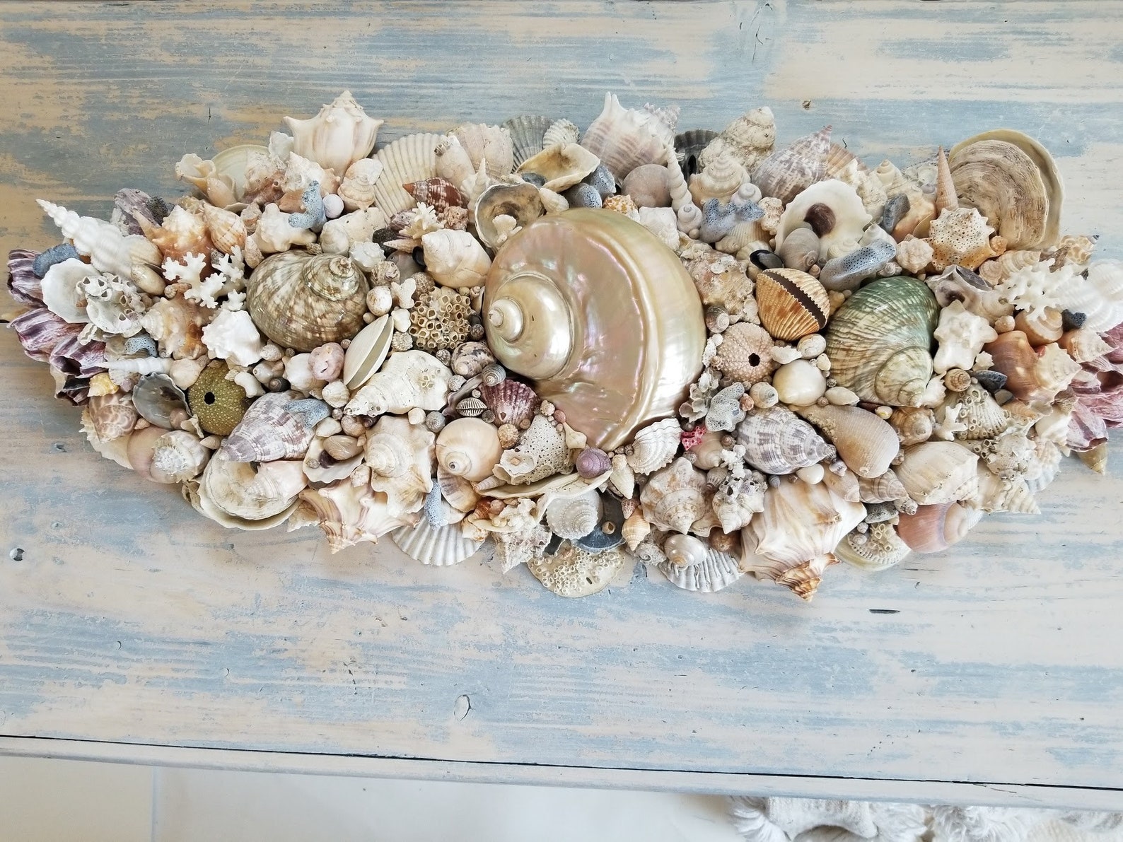 Sea Shell-encrusted White Washed Wooden Trunk Beach Coastal - Etsy