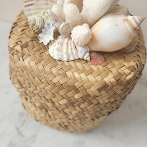 Coastal Grandma Sea Shell Toilet Paper Storage, Sea Shell Table Décor ...