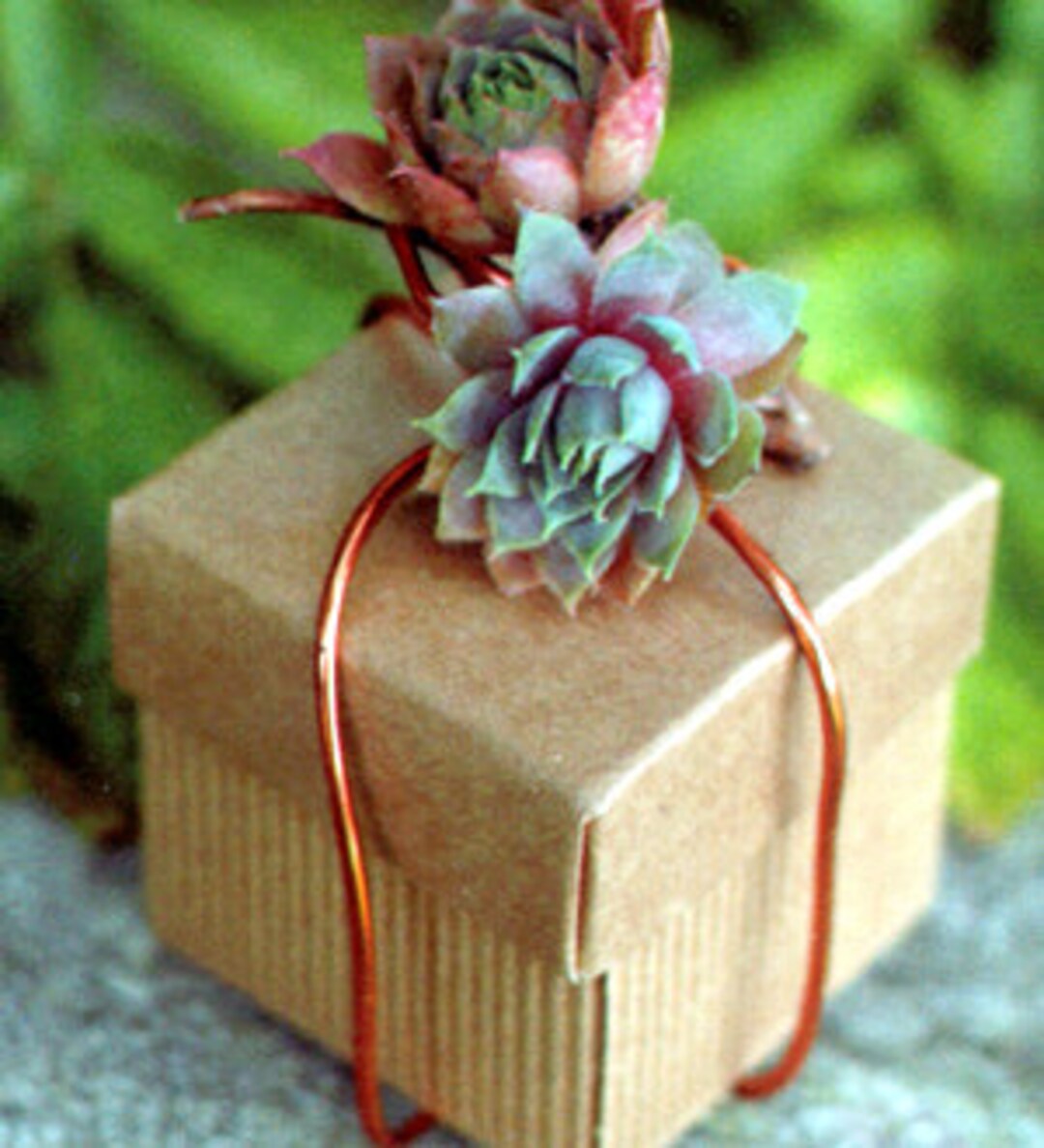 Set of 12 / Mini Corrugated 2-piece Favor Box Party Favor GIFT BOXES ...