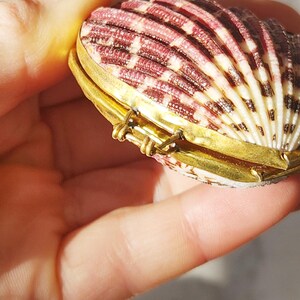 Vintage Red Clam Shell Sea Shell Brass Hinged Jewelry Box Elegant ...