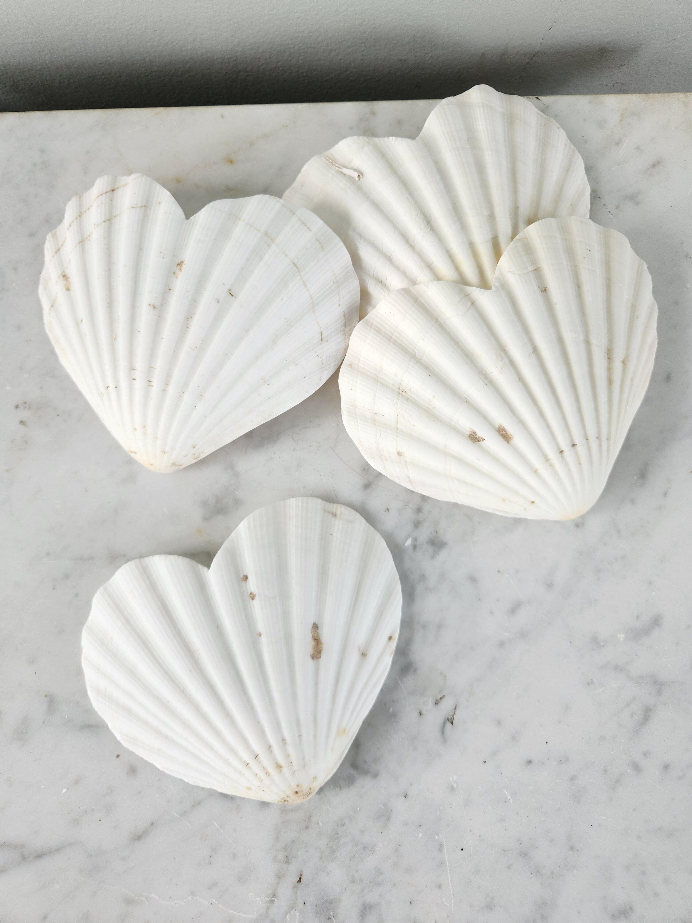 Heart Shaped Irish Baking Shells, Decoupage Scallop, Wedding Decoration ...