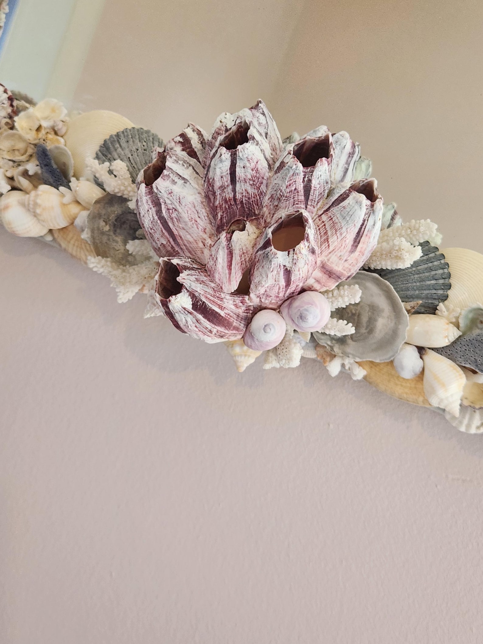 Coral Mirror, Coastal Grandma Wall Décor, Sea Shell-encrusted Wall ...