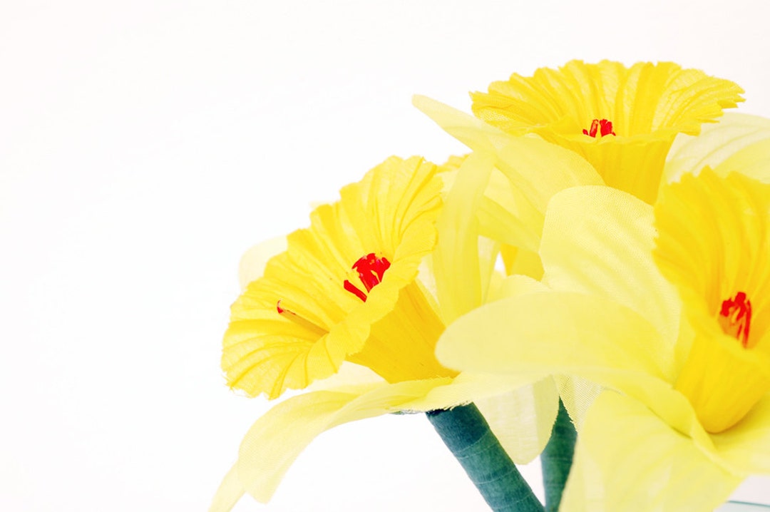 Set of 5 Spring Daffodil Flower Pens Each Large Bloom Pen - Etsy