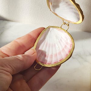 Vintage Red Clam Shell Sea Shell Brass Hinged Jewelry Box Elegant ...