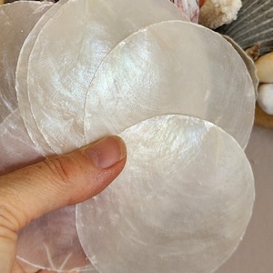 Shell Place Cards, Bulk Buy Capiz Seashells Round 3" Flat Shells ...
