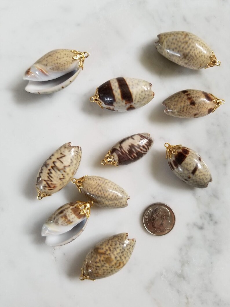 Natural Sea Shell Pendant Sea Shell Pendant Sea Shell Charm | Etsy