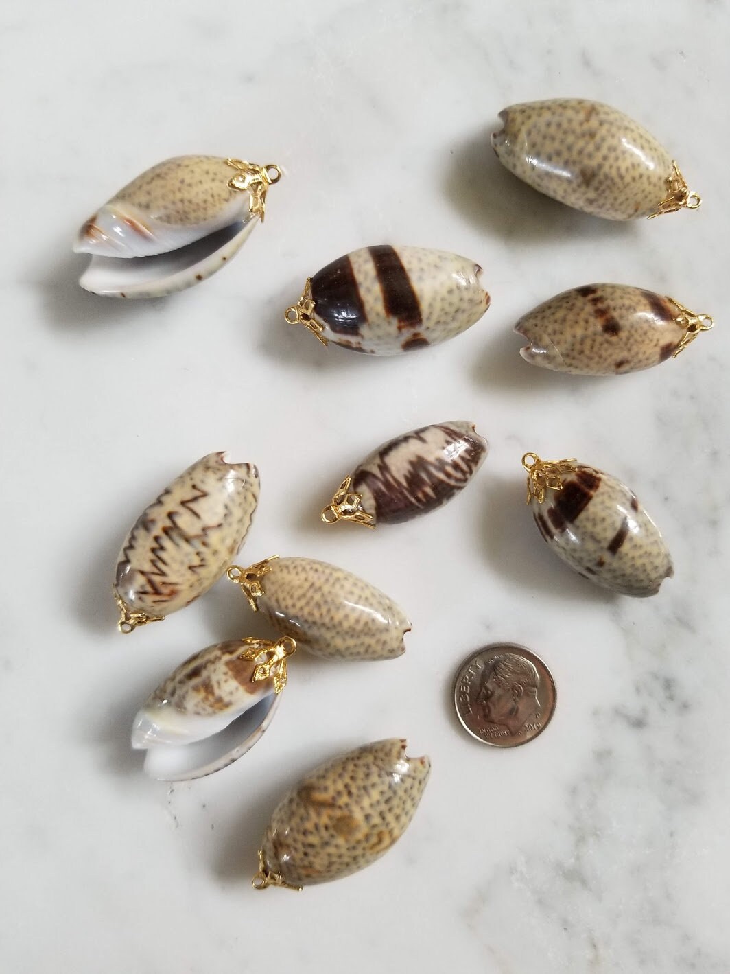 Natural Sea Shell Pendant Sea Shell Pendant Sea Shell Charm | Etsy